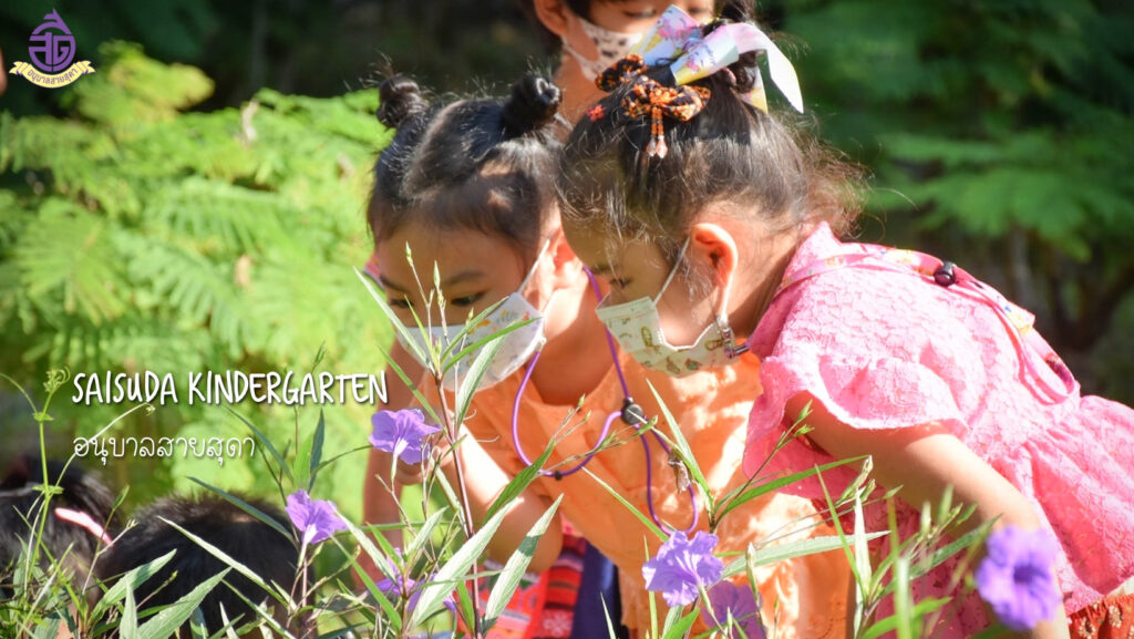 โรงเรียนอนุบาลสายสุดา – Saisuda Kindergarten School